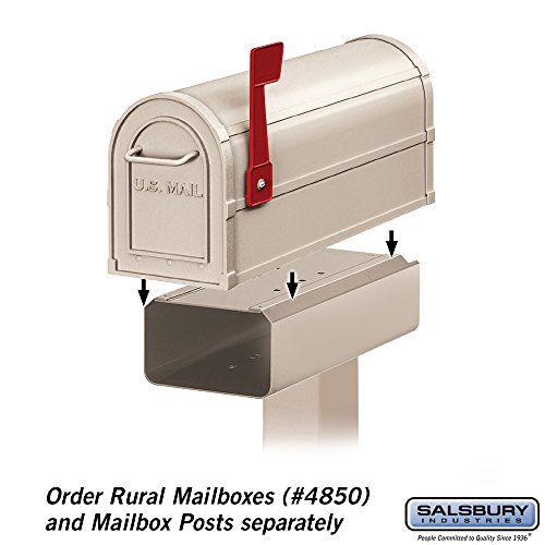 The 20 Best Newspaper Delivery Holders of 2026 [Verified] - Cherry Picks