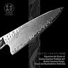 Amazon.com: Tenkumun Japanese Gyutou Knife Pro. Handcrafted 8 inch Chef ...