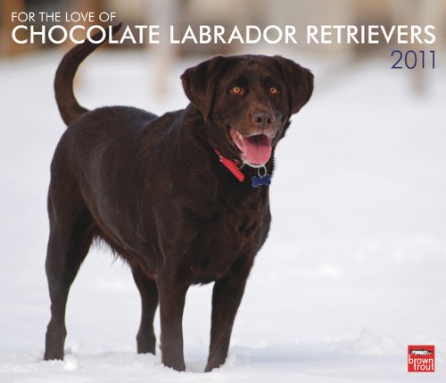 For the Love of Chocolate Labrador Retrievers 2011 Calendar: BrownTrout ...