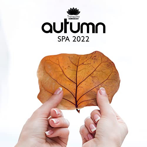 Play Autumn Spa 2022: Wellness Background Music, Massage for Relaxation ...