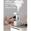 Amazon.com: Rainbow Cloud Anti Gravity Humidifier - Floating Water ...