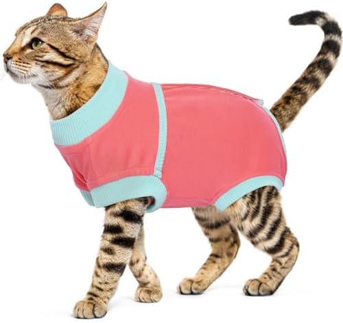 Amazon.com : FUAMEY Cat Recovery Suit,Female Cat Spay Suit Kitten ...