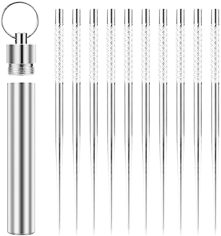 Prasacco 10 Pieces Stainless Steel Toothpicks with Toothpick Holder ...