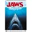 Amazon.com: Jaws 2 [VHS] : Roy Scheider, Lorraine Gary, Murray Hamilton ...