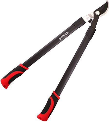 13 Best Loppers In 2022 [+Buyer's Guide]