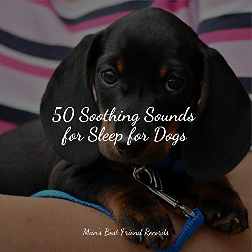 50 Soothing Sounds for Sleep for Dogs by Jazz Music for Dogs, Calm ...