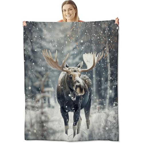 Best Moose Bed Throws to Cozy Up Your Space - Totally Reviewed