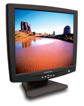 Princeton SL90 19inch LCD Color Monitor : Amazon.in: Computers ...