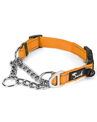 Amazon.it Bestseller: Gli articoli più venduti in Collari a strozzo per ...