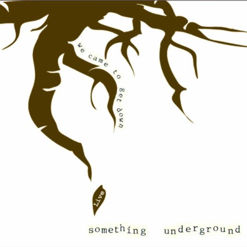 Amazon.com: We Came To Get Down : Something Underground: Digital Music