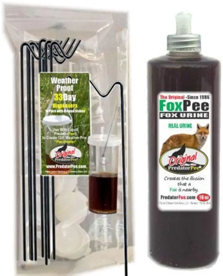 Do Foxes Spray? Unraveling The Mystery Behind Fox Scent Marking | PetShun