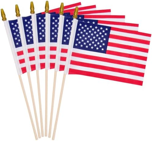 Amazon.com : Greenbrier Mini American Flags on Plastic Sticks, 11 in. X ...