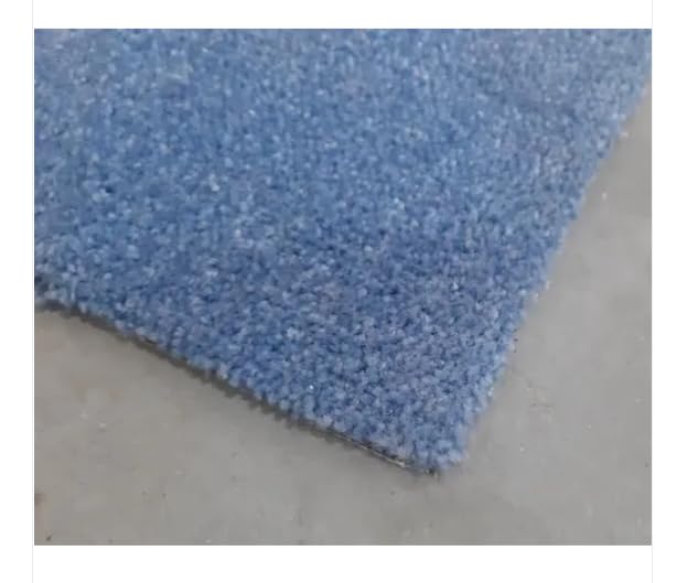 Buy VISION SERVICES Carpets for Living Room Soft Fluffy Solid Rugs for ...