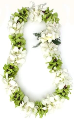Amazon.com : Fresh Hawaiian Lei - Double Green and White Orchid Lei ...