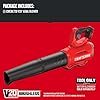 Amazon.com: CRAFTSMAN CMCBL720B V20* Cordless Axial Leaf Blower ...