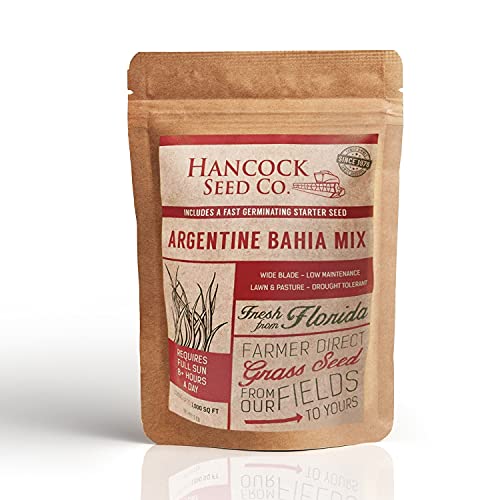 The 30 Best Bahia Grass Seeds of 2026 [Verified] - Cherry Picks