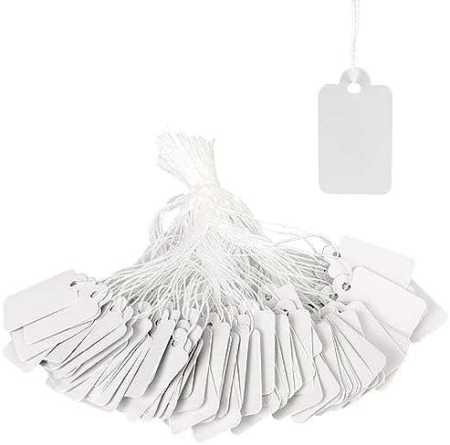 Amazon.com : 100 Pcs Price Tags, Sale Tags, Hang Strung Labels Tag with ...