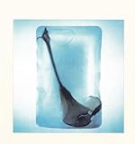 【発売日：2025年02月28日】・製造元:Profundo Collective