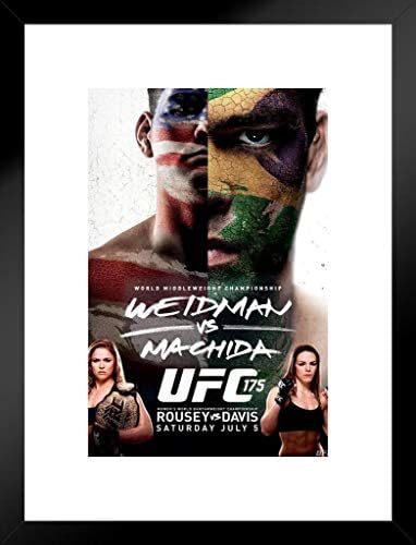 Ufc 173 Poster