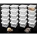 Amazon.com : VCEPJH 20 Pcs Tarantula Sling Enclosure, Small Sized ...