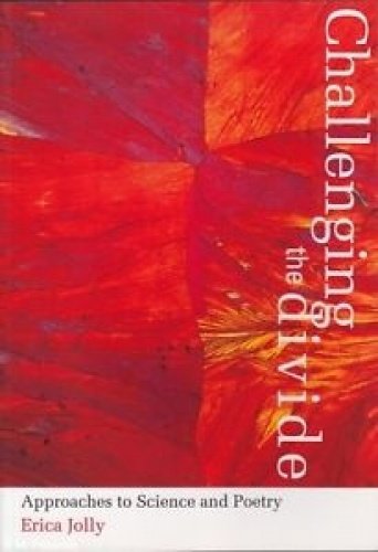 Challenging the Divide: Jolly, Erica: 9781921013256: Amazon.com: Books