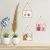 Amazon.com - Kenning 8 Pcs Small Glass Frame for Pressed Flowers 3.5 x ...