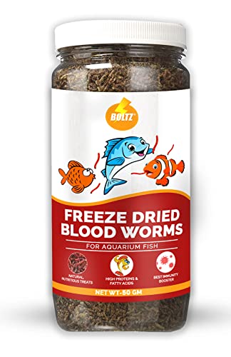 Boltz Freeze Dried Blood Worms Fish Food 50 Grams for Bettas, Tetras ...