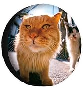 Amazon.com: Cafetime I Go Where I'm Towed Spare Tire Cover Camping Trailer Black Background ...