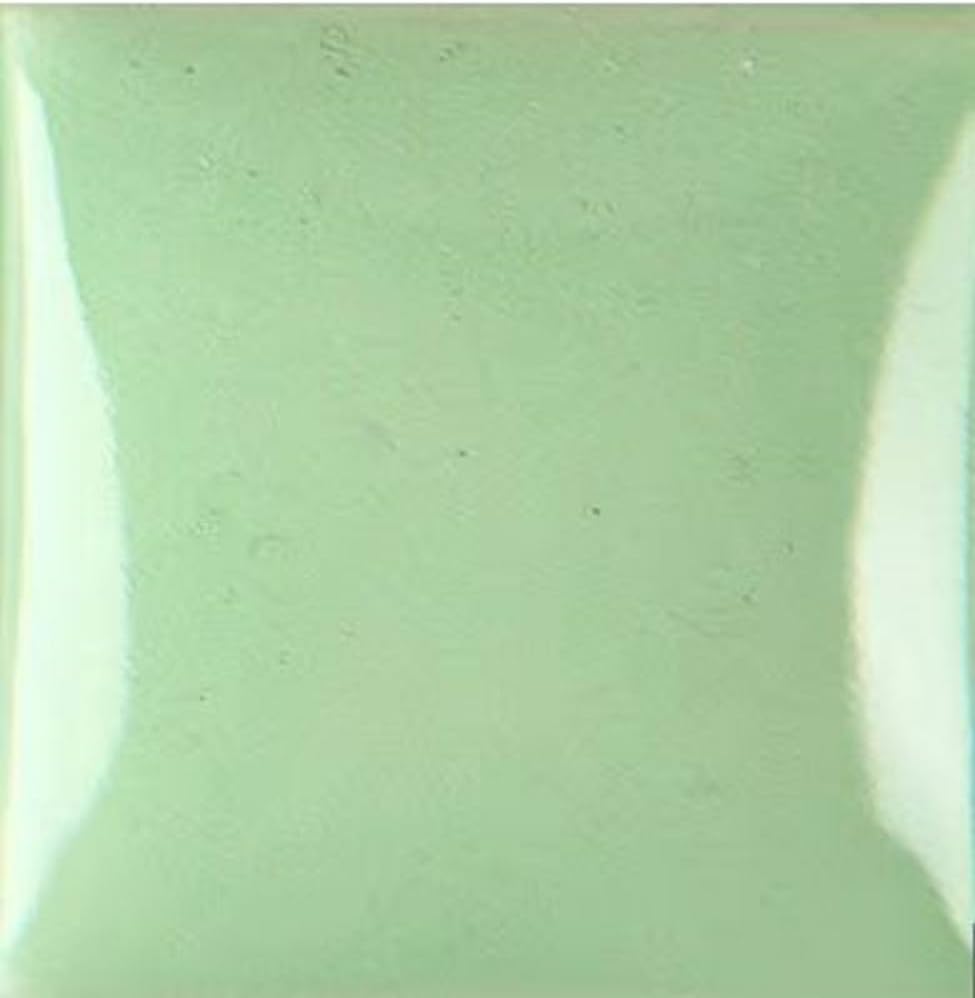 Amazon.com: Duncan Envision Glazes iced mint opaque 4 oz.