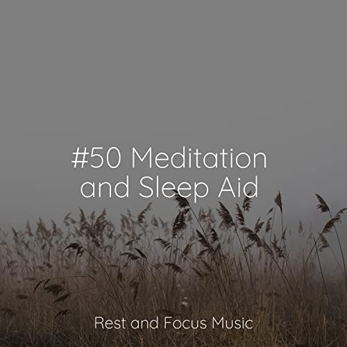 Play #50 Meditation and Sleep Aid by Study Zone, Native American Flute & Meditation Awareness on ...