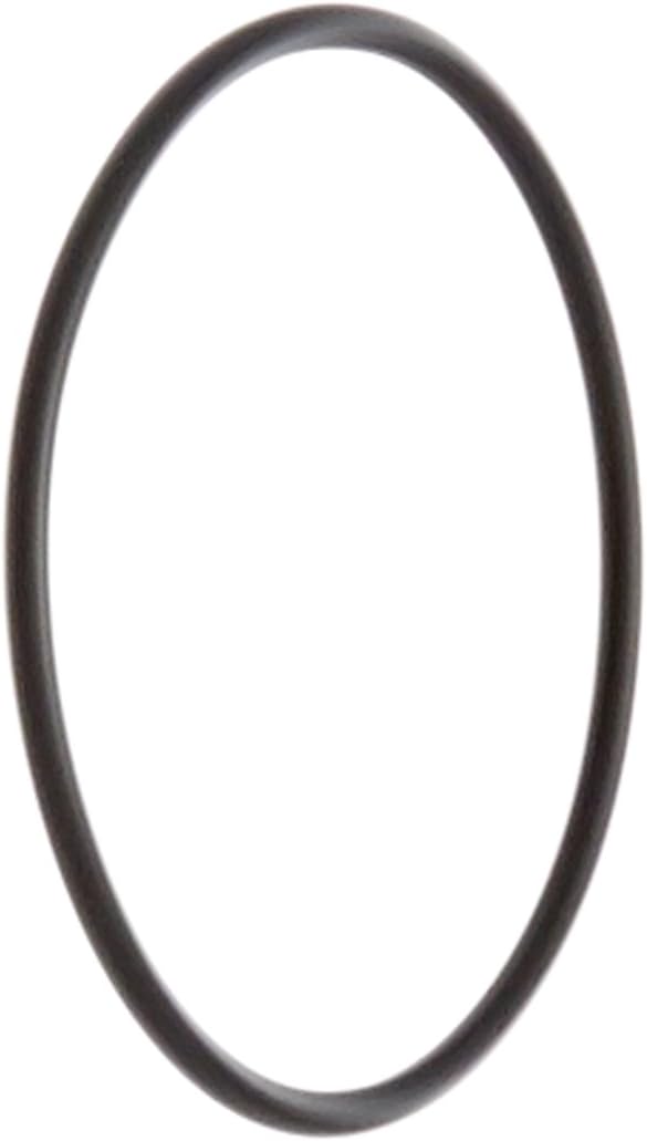 Amazon.com: Optimum Pool Technologies Filter Stand-Pipe O-Ring ...