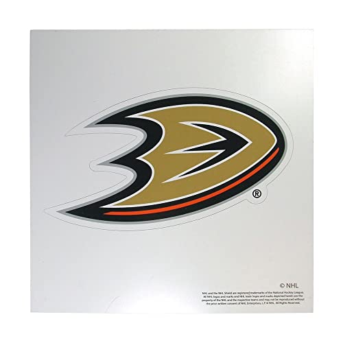 Amazon Best Sellers: Best Sports Fan Car Magnets