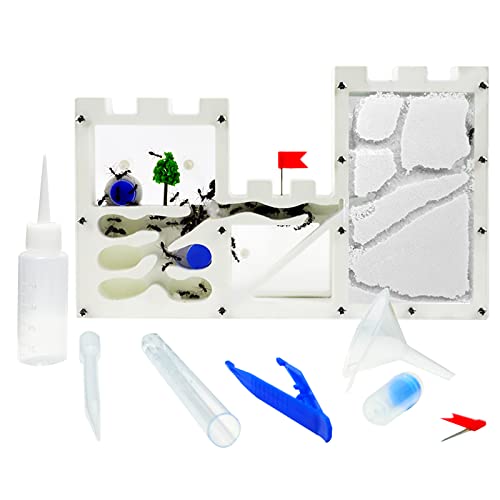 Snapklik.com : Large Sand Ant Farm Castle,Ant Habitat Ecosystem To ...