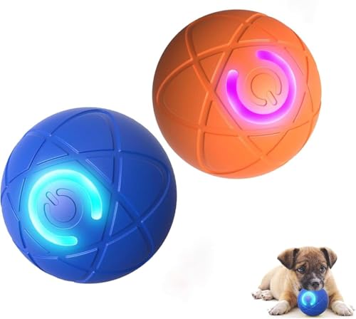 Interactive Dog Ball – The 15 best products compared - Wild Explained