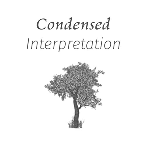 Amazon.com: Condensed Interpretation : Nilbog: Digital Music