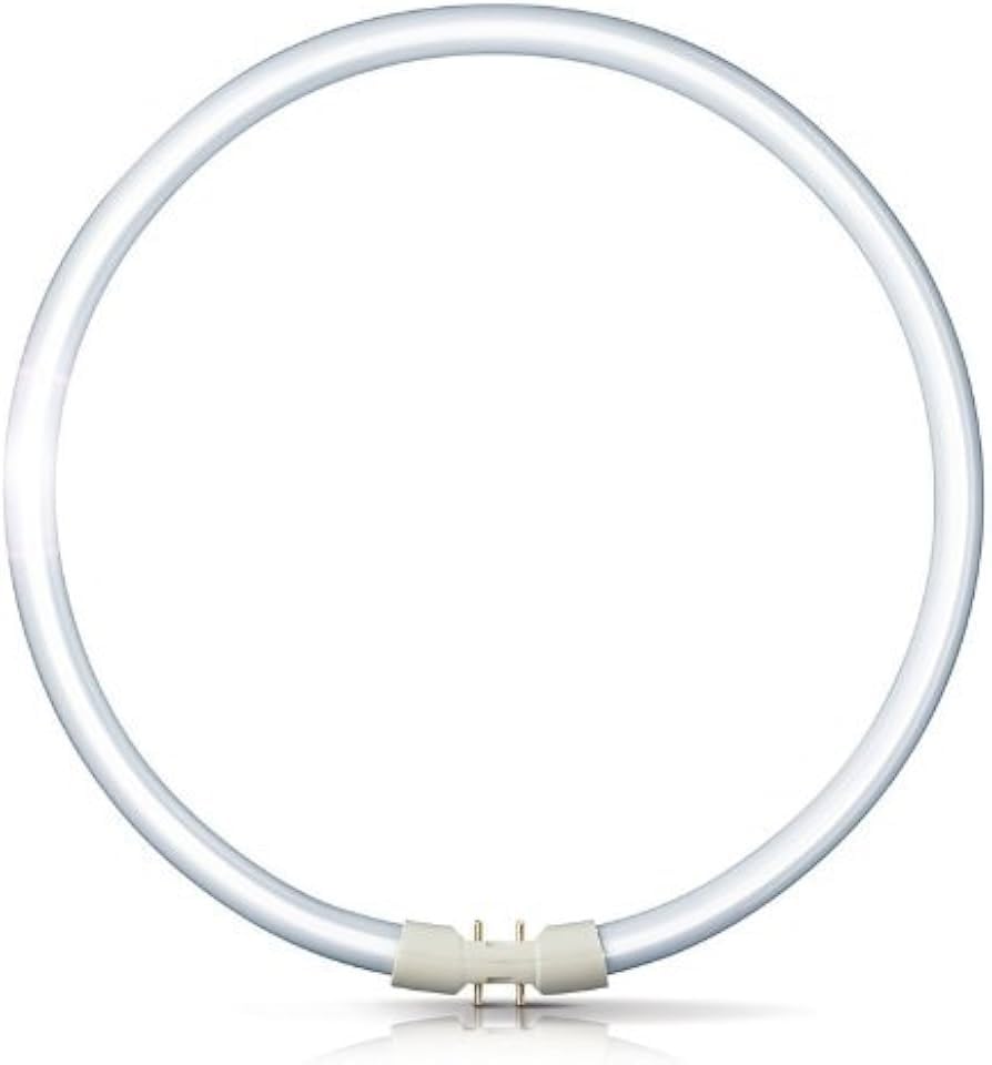 Circular 55w Fluorescent T5 Tube 2GX13 Daylight White 6500k 306mm ...