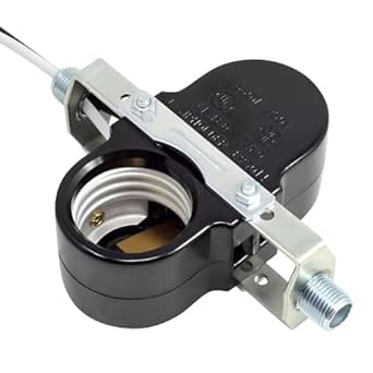 Double Edison Base Socket, Keyless 2-Light Twin Cluster Kit Compatible ...