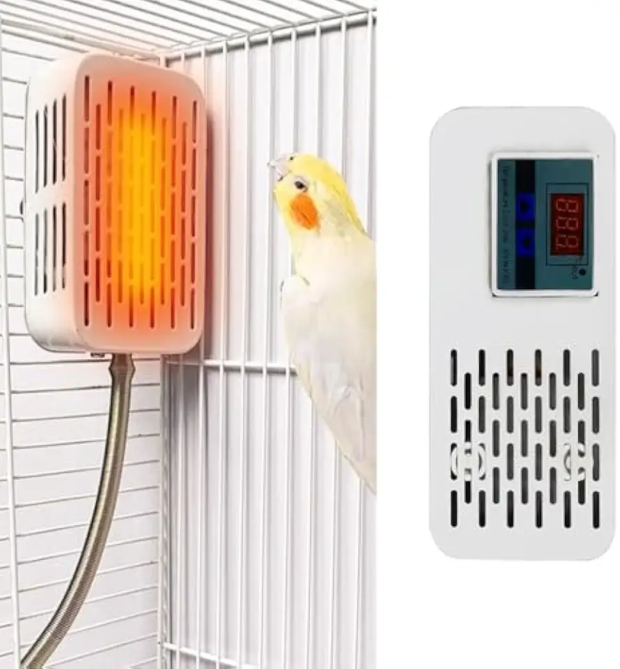 The Ideal Temperature Range For Parrots: How Cold Is Too Cold? | PetShun