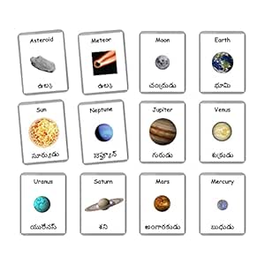 Buy Telugu English Bilingual Flash Cards | Montessori Cards | Laminated ...