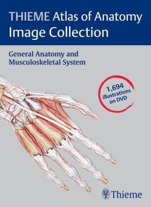 Thieme Atlas of Anatomy Image Collection