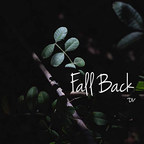 Fall Back by Drew Valentino on Prime Music