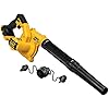 DEWALT DCE100B 20V MAX* Compact Jobsite Blower (Tool Only) : Amazon.ca ...