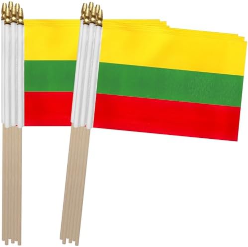 Amazon.com : TSMD Guyana Stick Flag Guyanese Small Mini Hand Held Flags ...