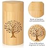 Amazon.com: Small Urns for Human Ashes Keepsake with Tree of Life ...