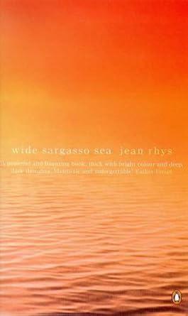 Wide Sargasso Sea: Jean Rhys: 9780140274219: Amazon.com: Books