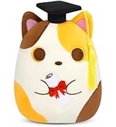 Amazon.com: JIZWPOOM Cat Stuffed Animals Black Cat Plush,Cat Graduation ...