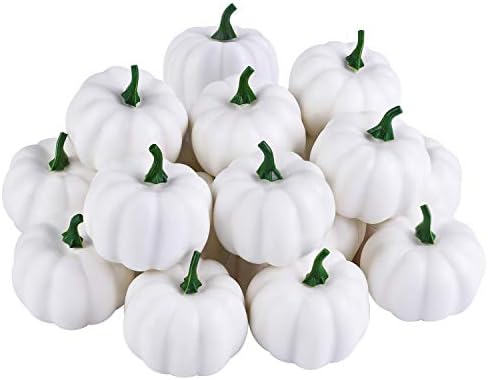 Amazon.com: Winlyn 48 Pcs Fall Rustic White Artificial Pumpkins Small ...