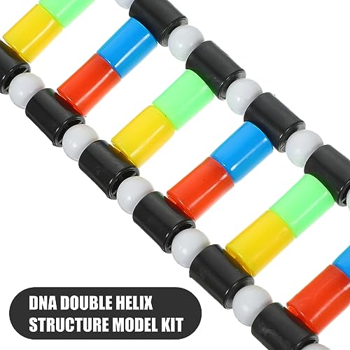 DNA Model, DNA Double Helix Structure Model Kit Kids Students ...