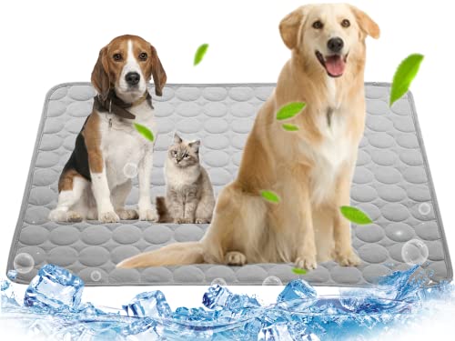 Top 10 Best Cooling Matt For Dogs : Reviews & Buying Guide - Katynel