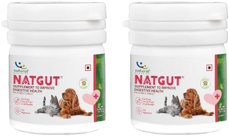 Buy Natural Remedies Natgut Supplement to Improve Digestive Health ...